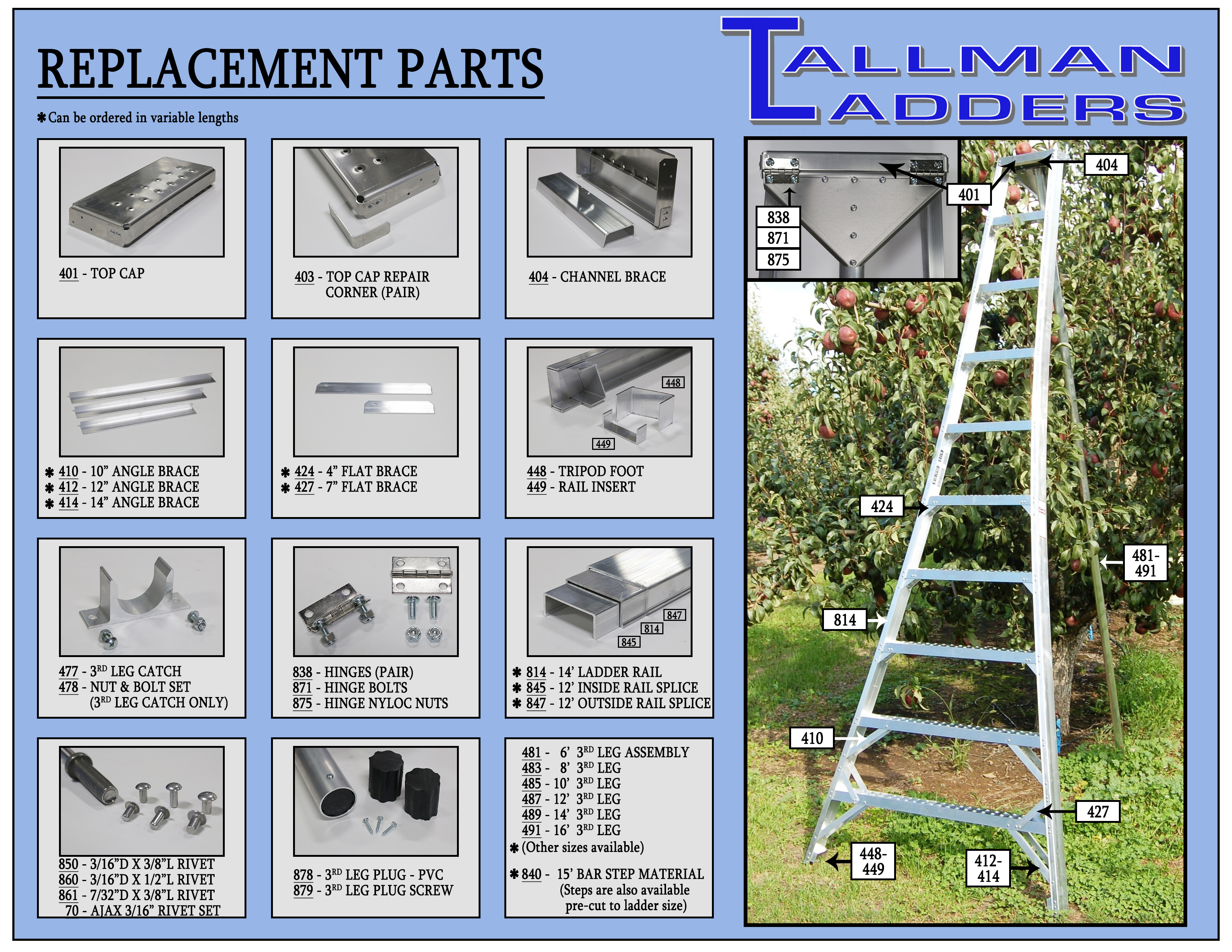 Tallman Ladders