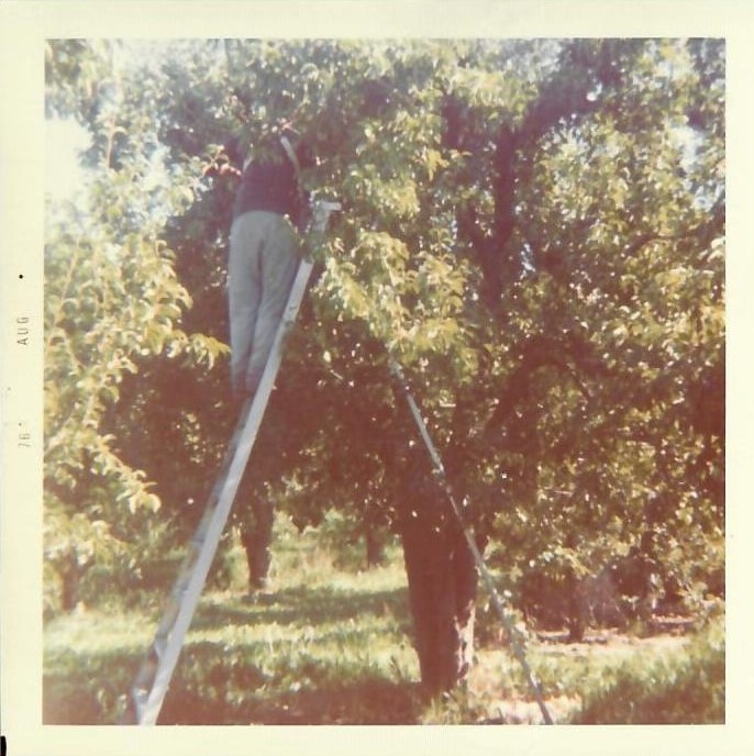 Tallman Ladders